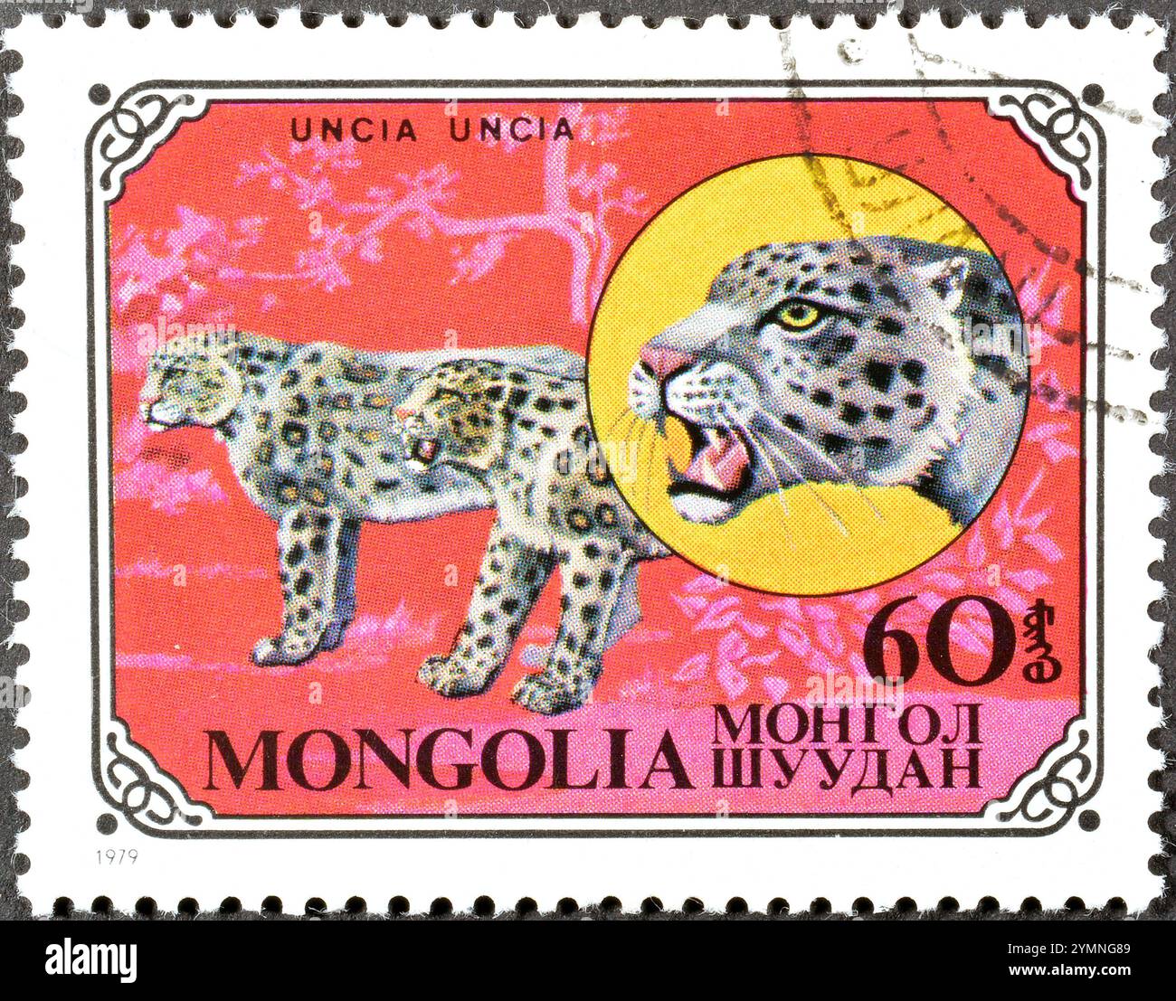 Cancelled postage stamp printed by Mongolia, that shows Snow Leopard ...