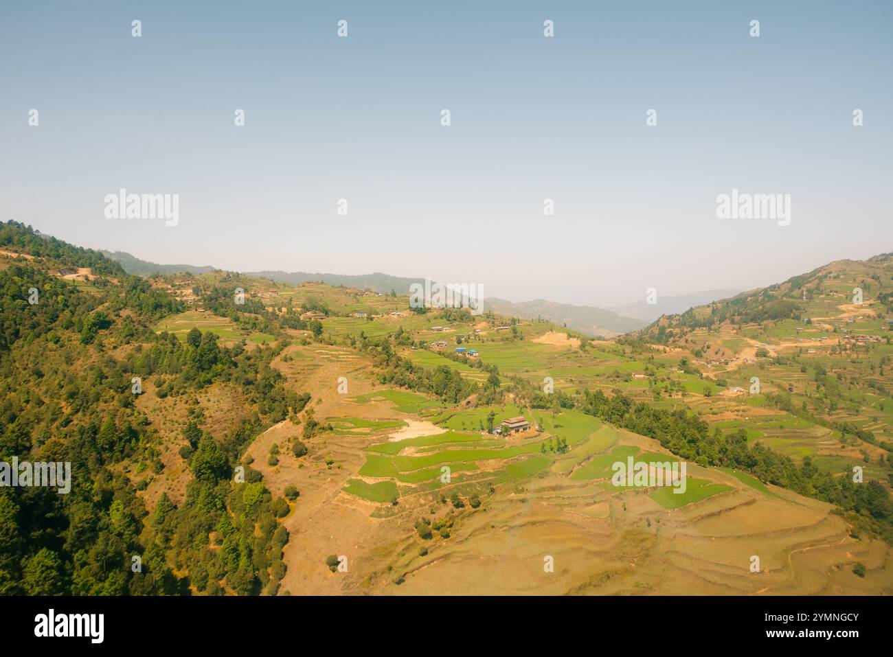Aerial view of green and colorful rice field terraces, Nepal. High ...