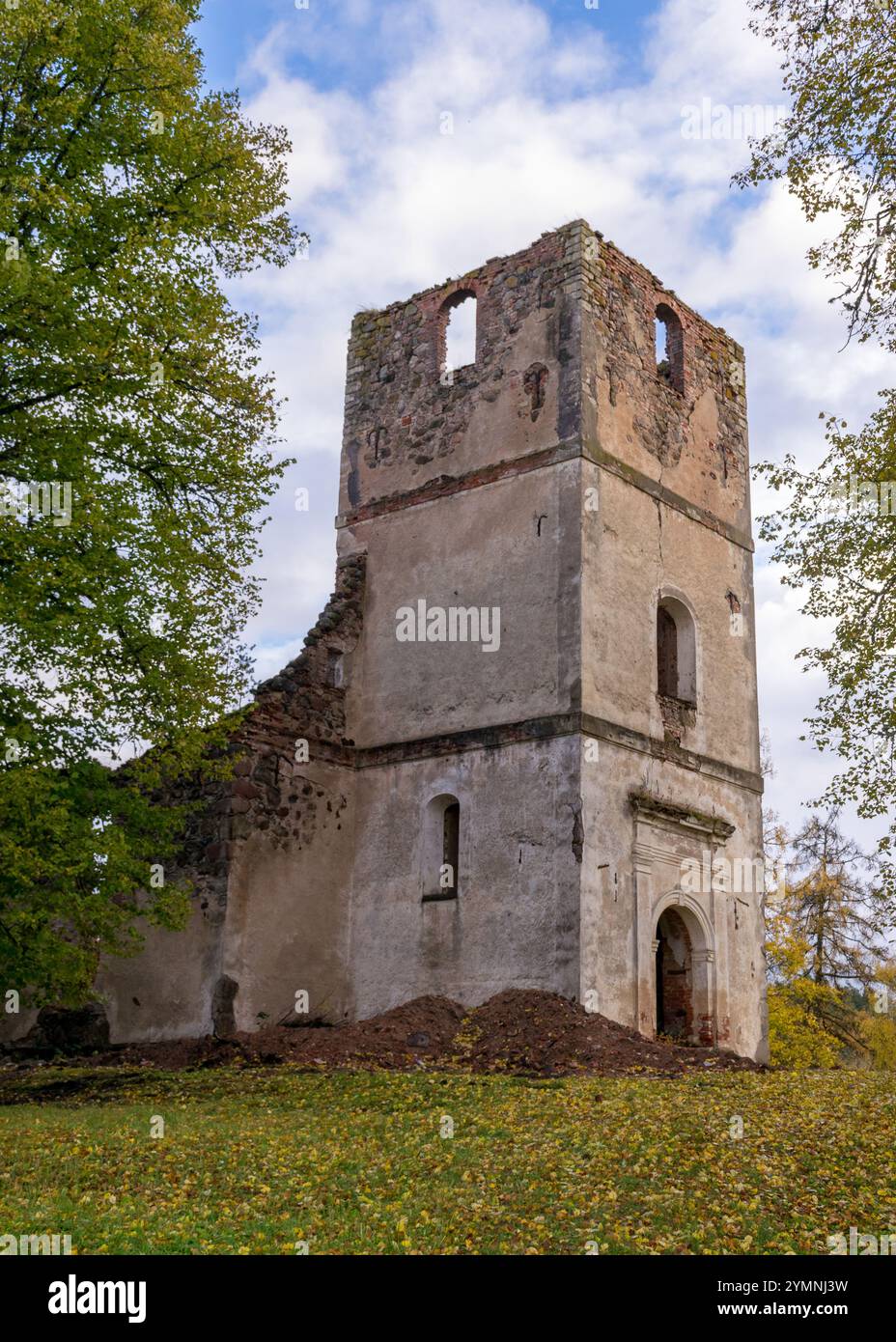 landscape with old church ruins, ruins overgrown with bushes and grass ...