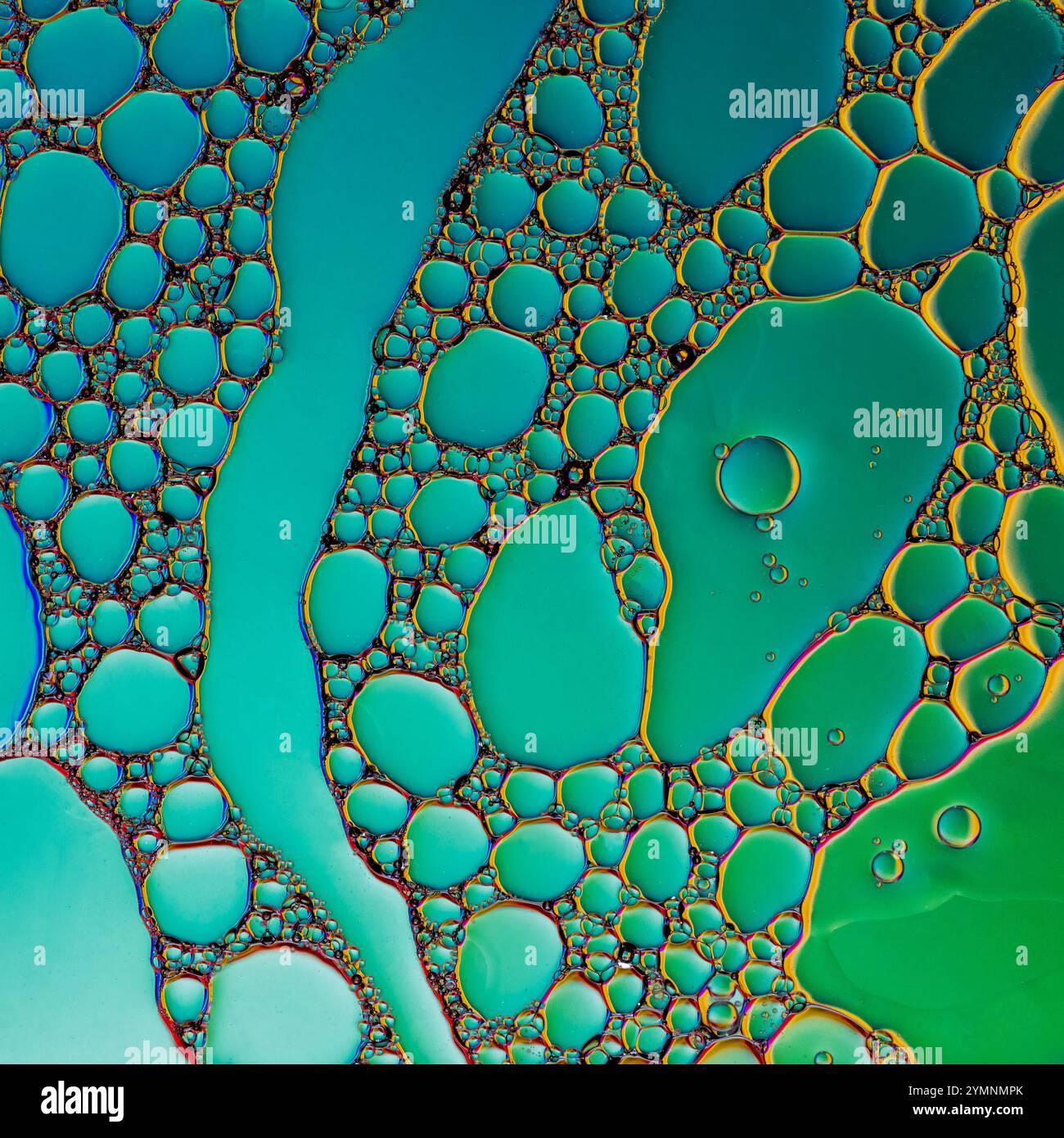 Bubble patterns created by oil on water against a coloured background ...