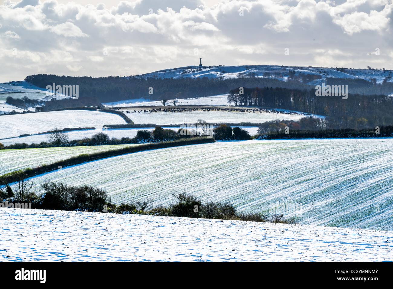 Winterbourne Abbas, Dorset, UK. 22nd November 2024. UK Weather. View ...