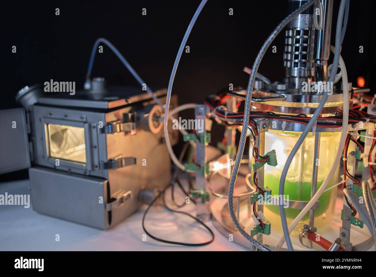 Biorat Regenerative Life Support System Simulator - Space Astronauts Missions Stock Photo - Alamy