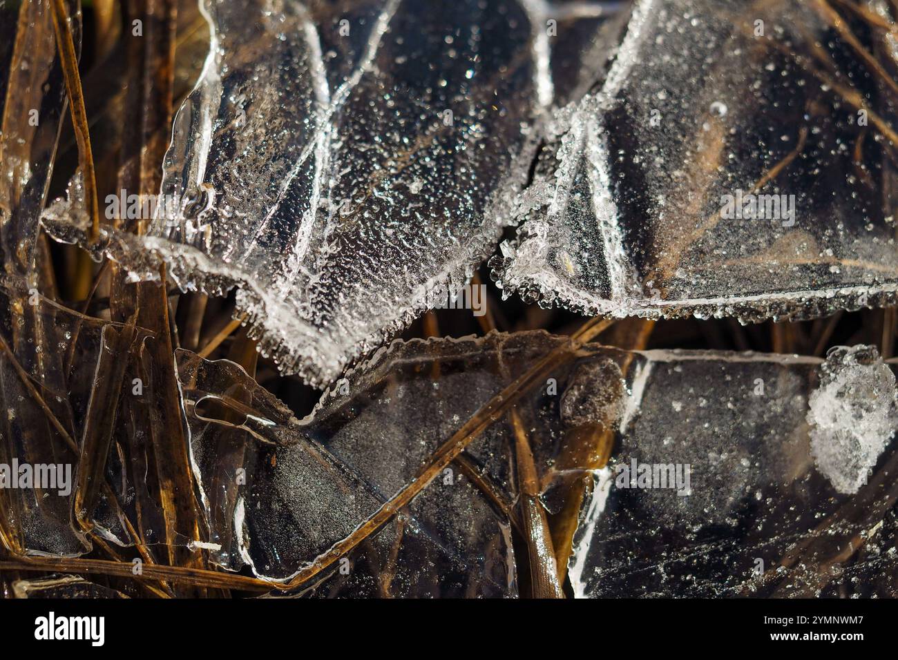 Frozen German Landscape with stunning ice sculptures and artistic ...