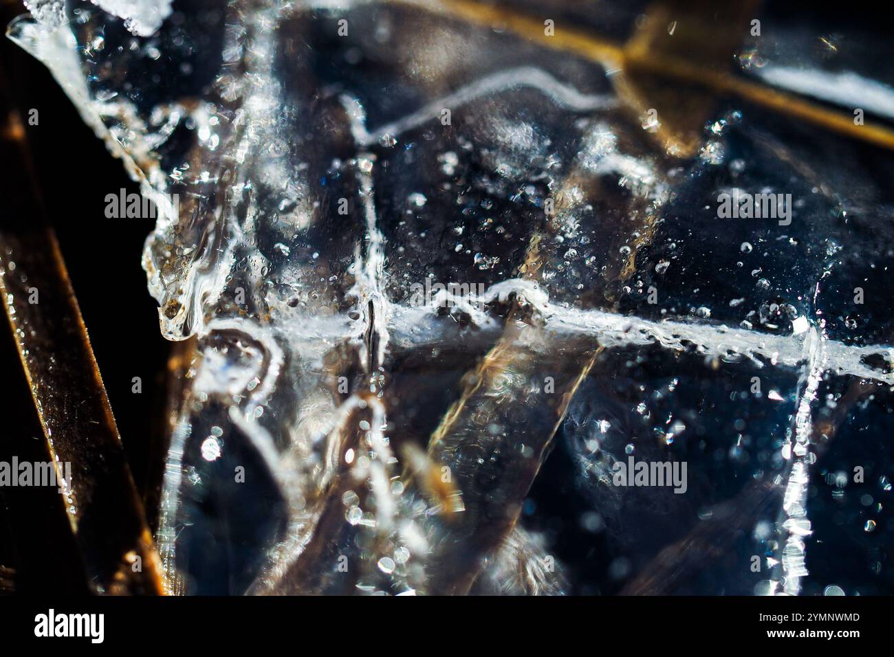 Frozen German Landscape with stunning ice sculptures and artistic ...