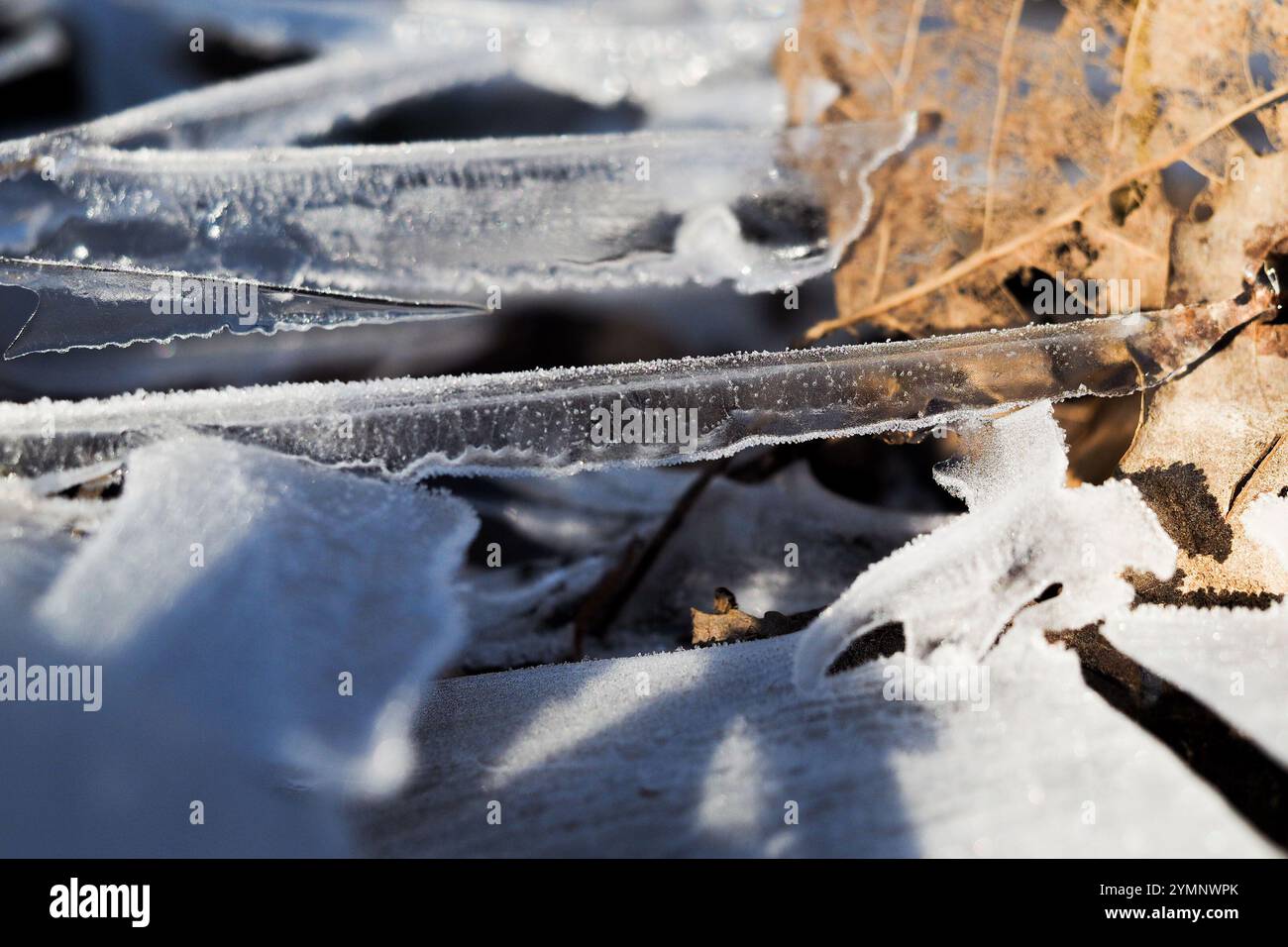 Frozen German Landscape with stunning ice sculptures and artistic ...
