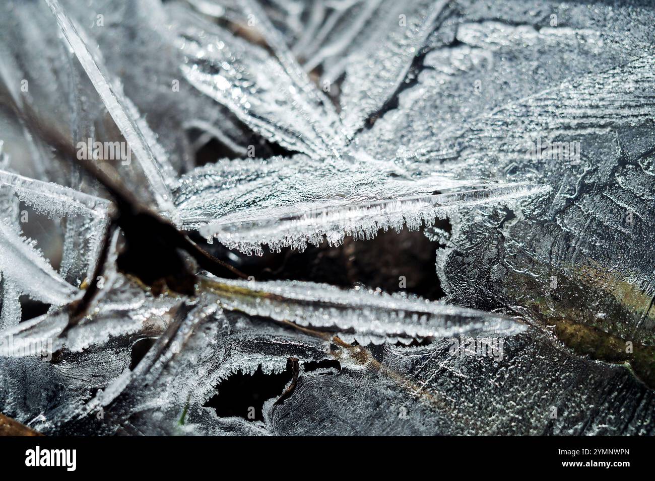 Frozen German Landscape with stunning ice sculptures and artistic ...