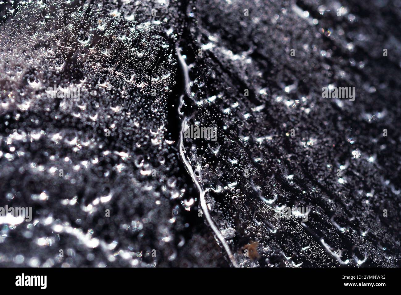 Frozen German Landscape with stunning ice sculptures and artistic ...