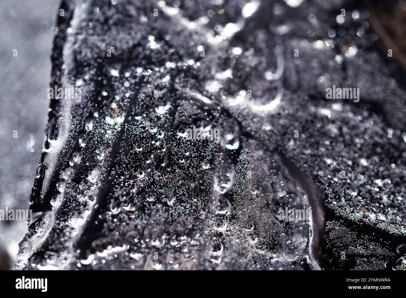 Frozen German Landscape with stunning ice sculptures and artistic ...