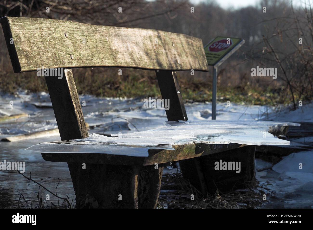 Frozen German Landscape with stunning ice sculptures and artistic ...