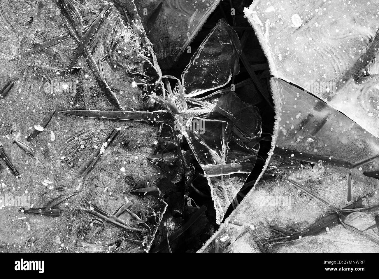 Frozen German Landscape with stunning ice sculptures and artistic ...