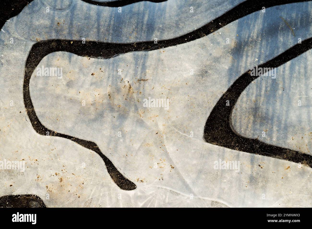 Frozen German Landscape with stunning ice sculptures and artistic ...