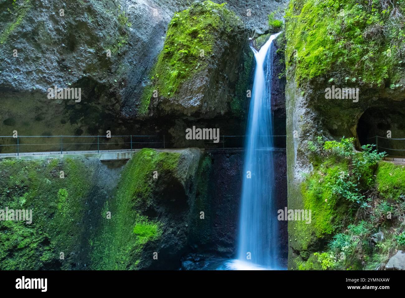 Levada Nova and Levada do Moinho in Madeira. Beautiful hiking path next ...