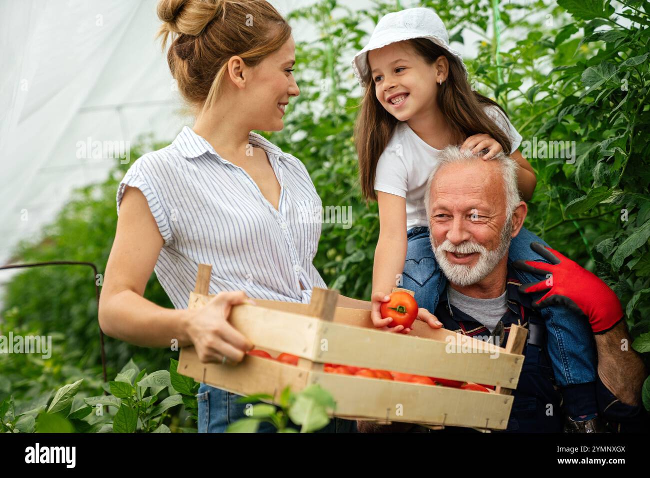 Family working together in greenhouse. Multigenerational family while ...