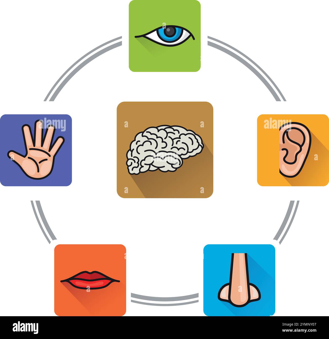 Five senses concept. Human perception color illustration Stock Vector ... Five senses concept. Human perception color illustration Stock Vector ...