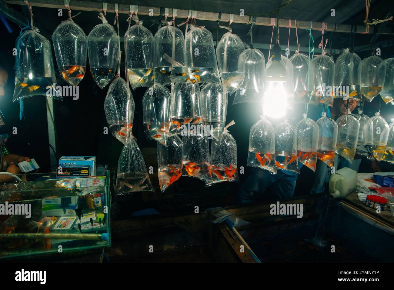 Freshwater fish sold traditional hi-res stock photography and images ...