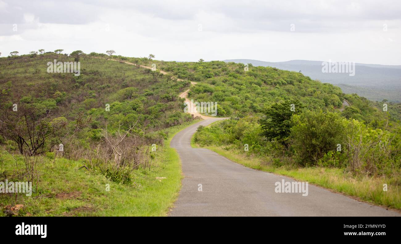 African savannah landscape, winding road going up the green grass hill ...