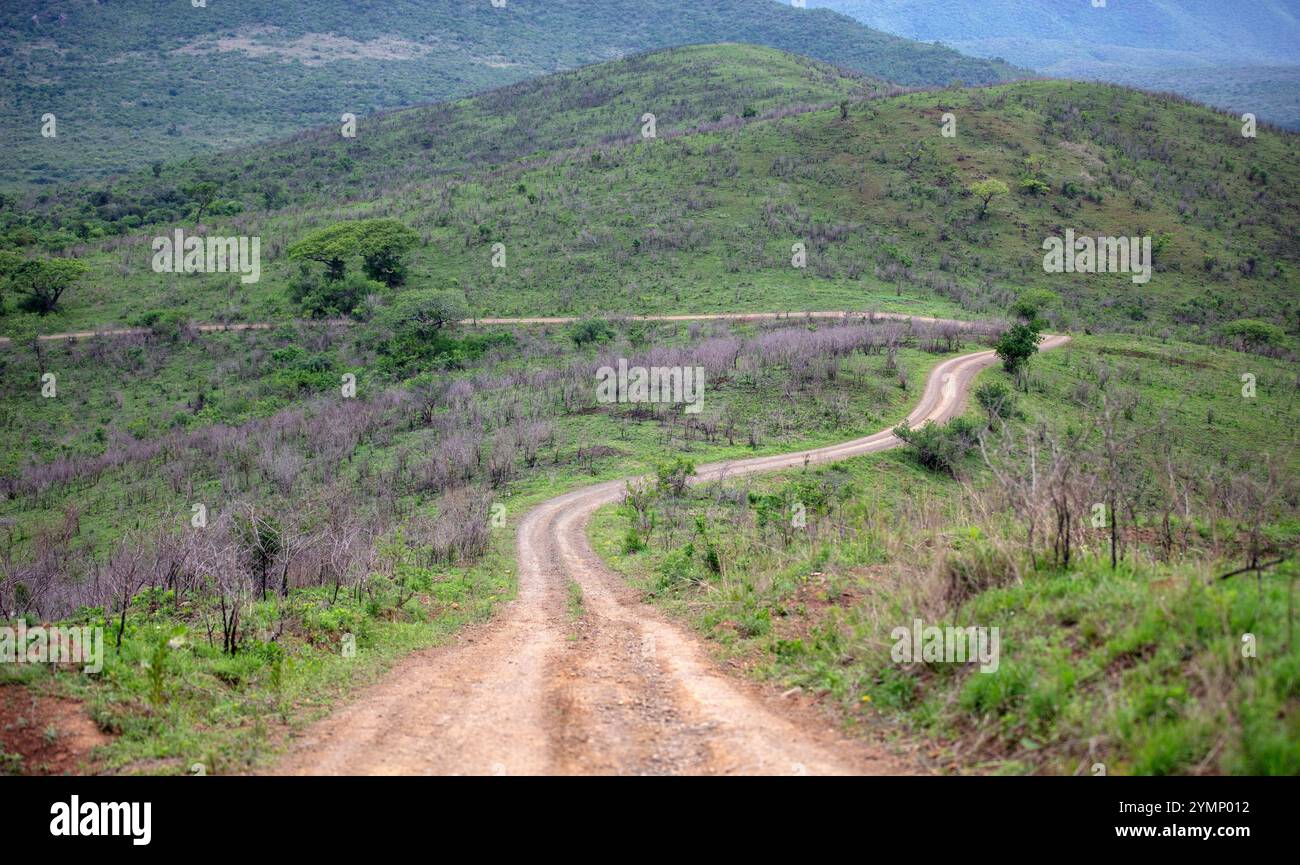 African savannah landscape, dirt winding road, green grass and bushes ...