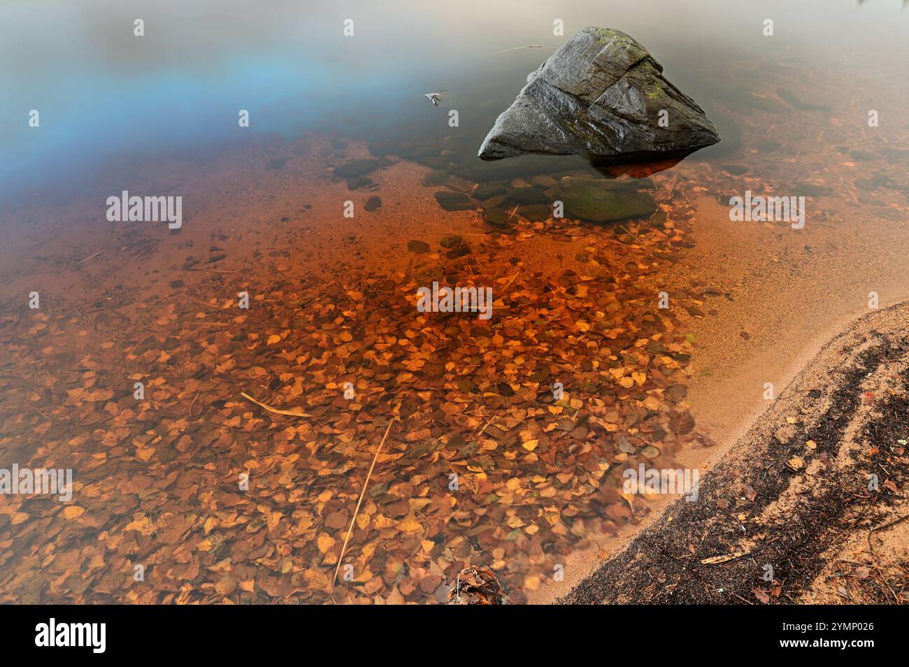 a serene and artistic lakeside scene featuring clear, shallow water ...