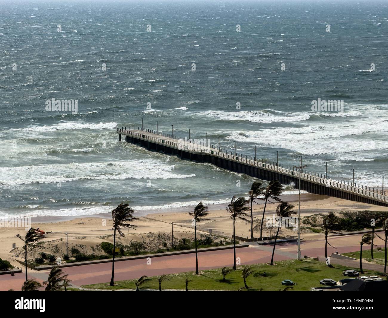 Durban beach, palm trees on promenade and stormy indian ocean, South ...