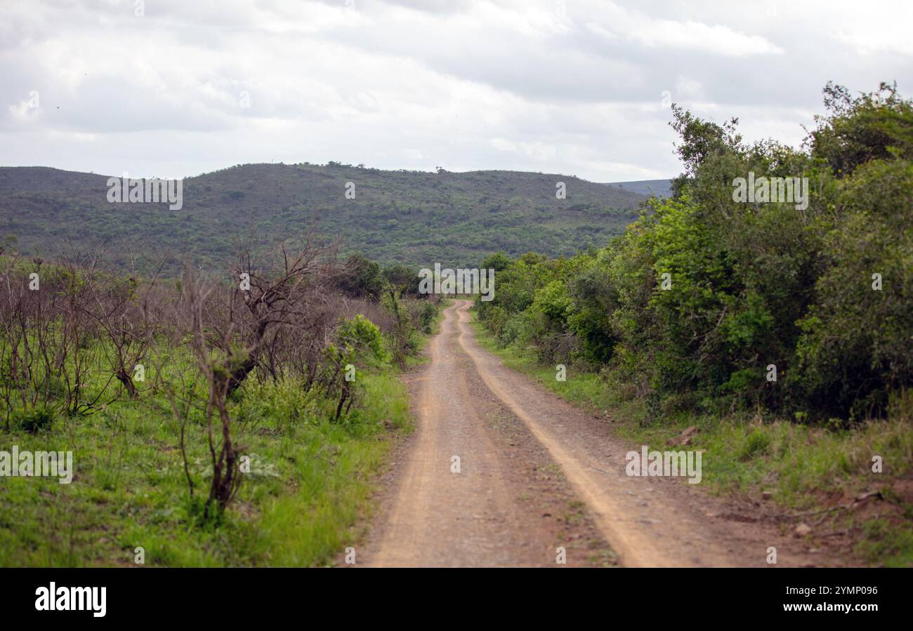 Hluhluwe national park, African landscape, dirt road, green grass and ...