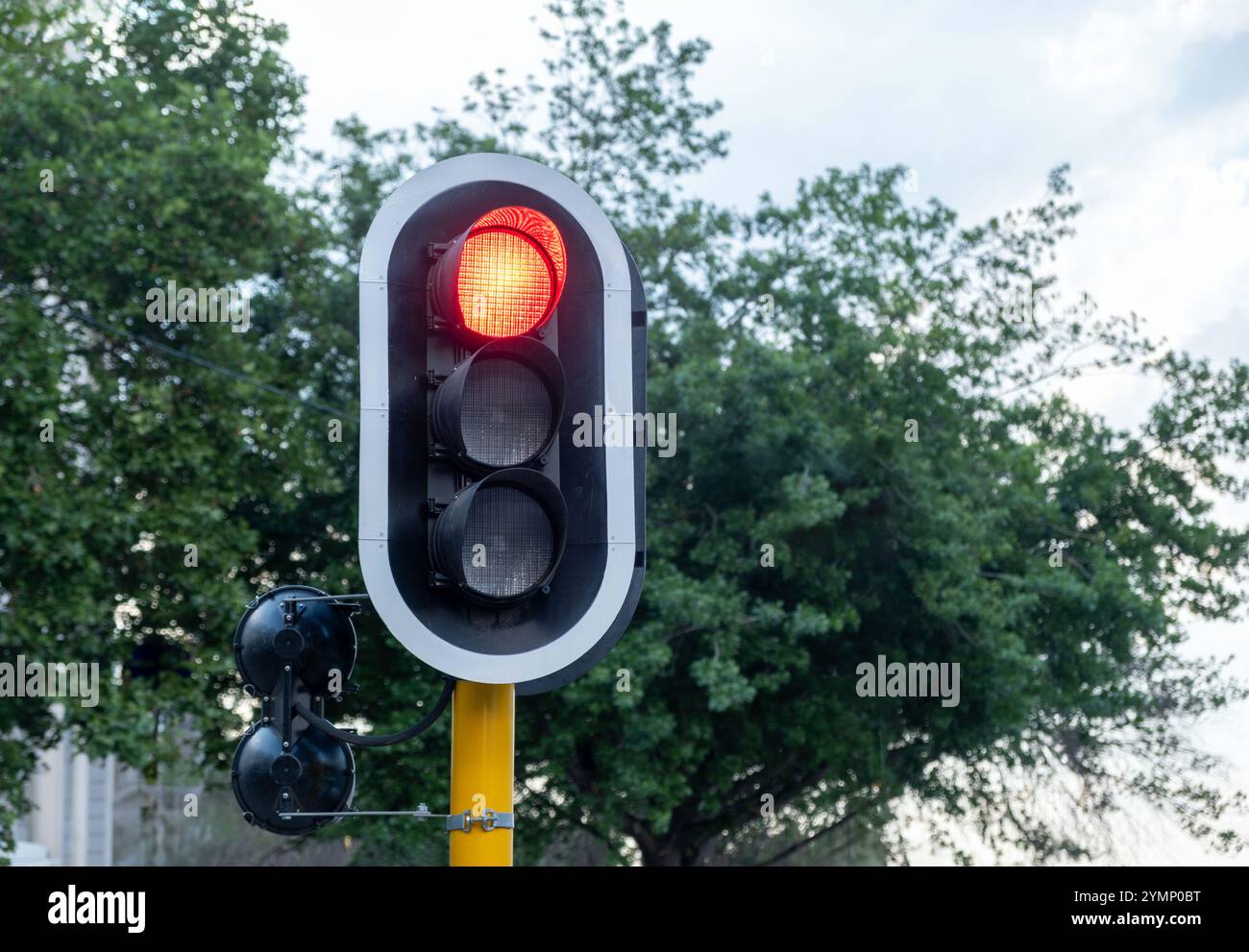 Red traffic light for cars at the city center. Stop signal concept ...