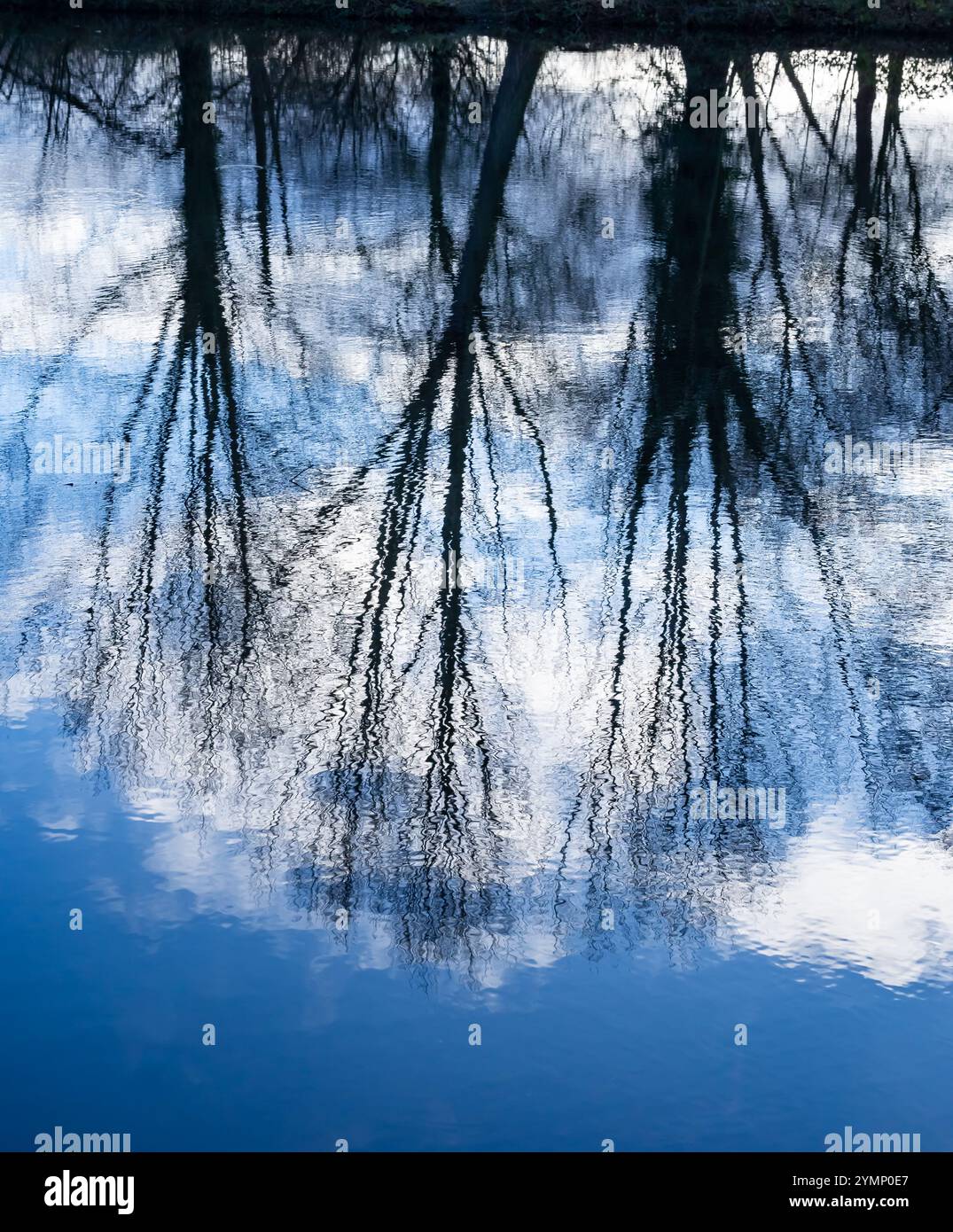 Burton mere wetlands rspb reserve hi-res stock photography and images ...