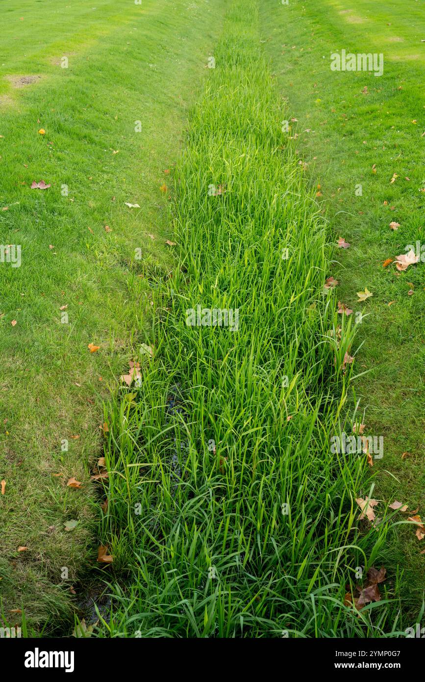 Drainage pattern hi-res stock photography and images - Alamy