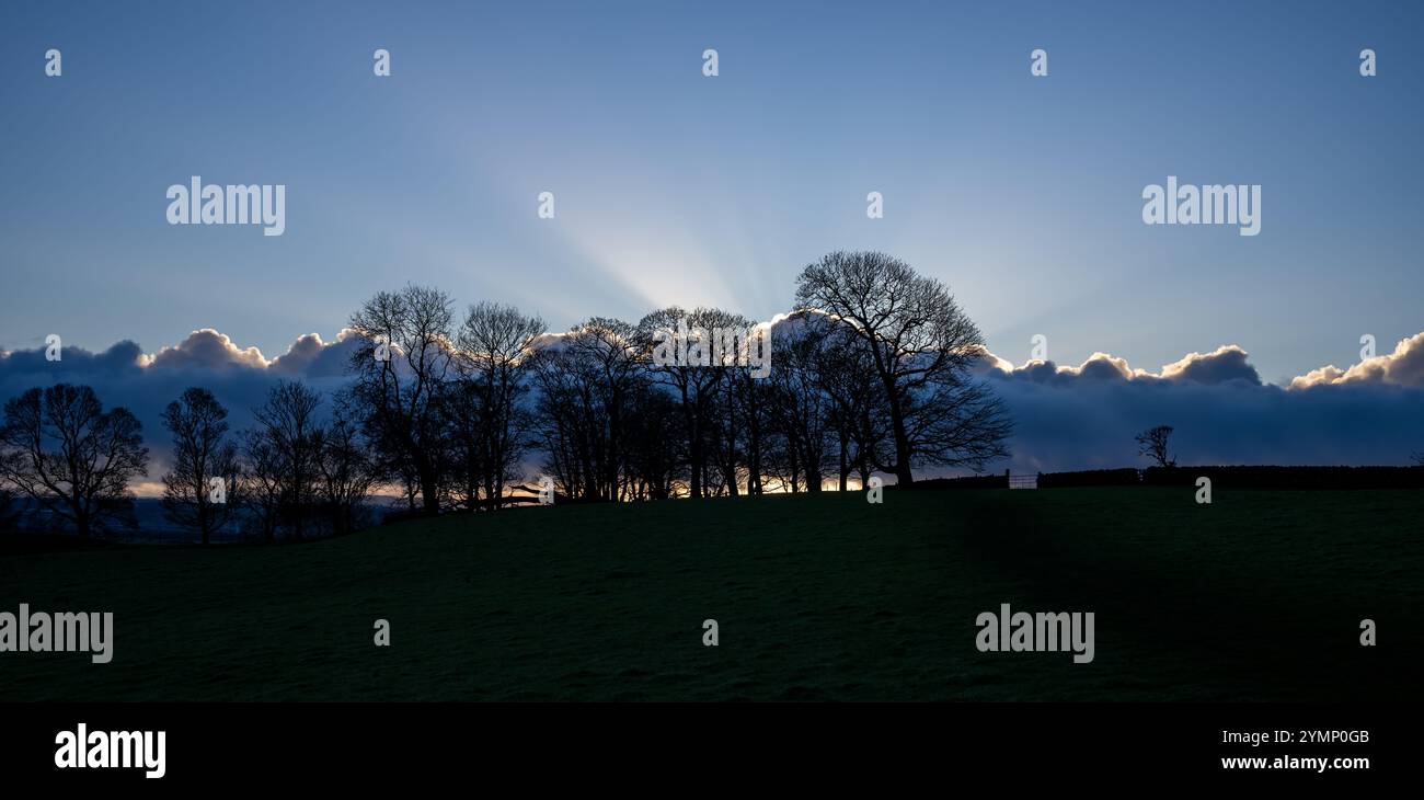 Burton mere wetlands rspb hi-res stock photography and images - Alamy