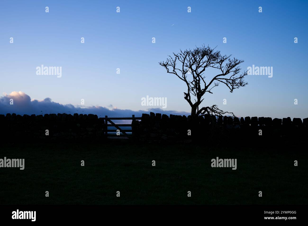Burton mere wetlands rspb reserve hi-res stock photography and images ...