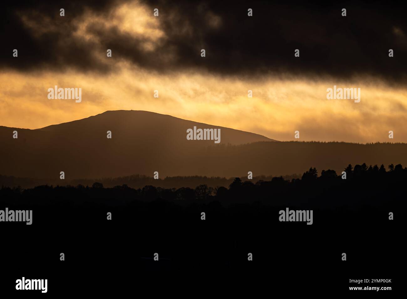 Burton mere wetlands rspb hi-res stock photography and images - Alamy
