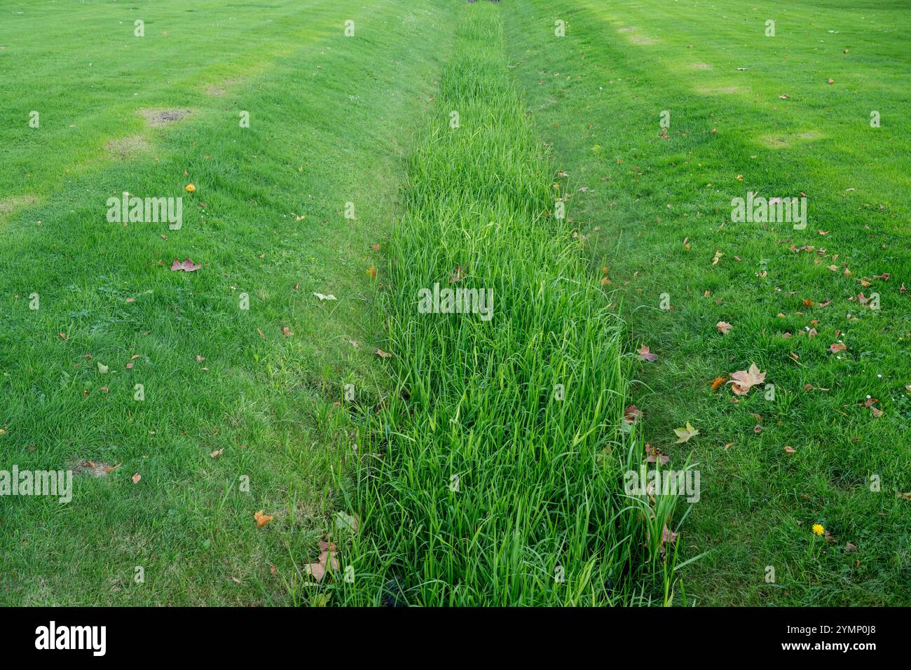 Drainage pattern hi-res stock photography and images - Alamy