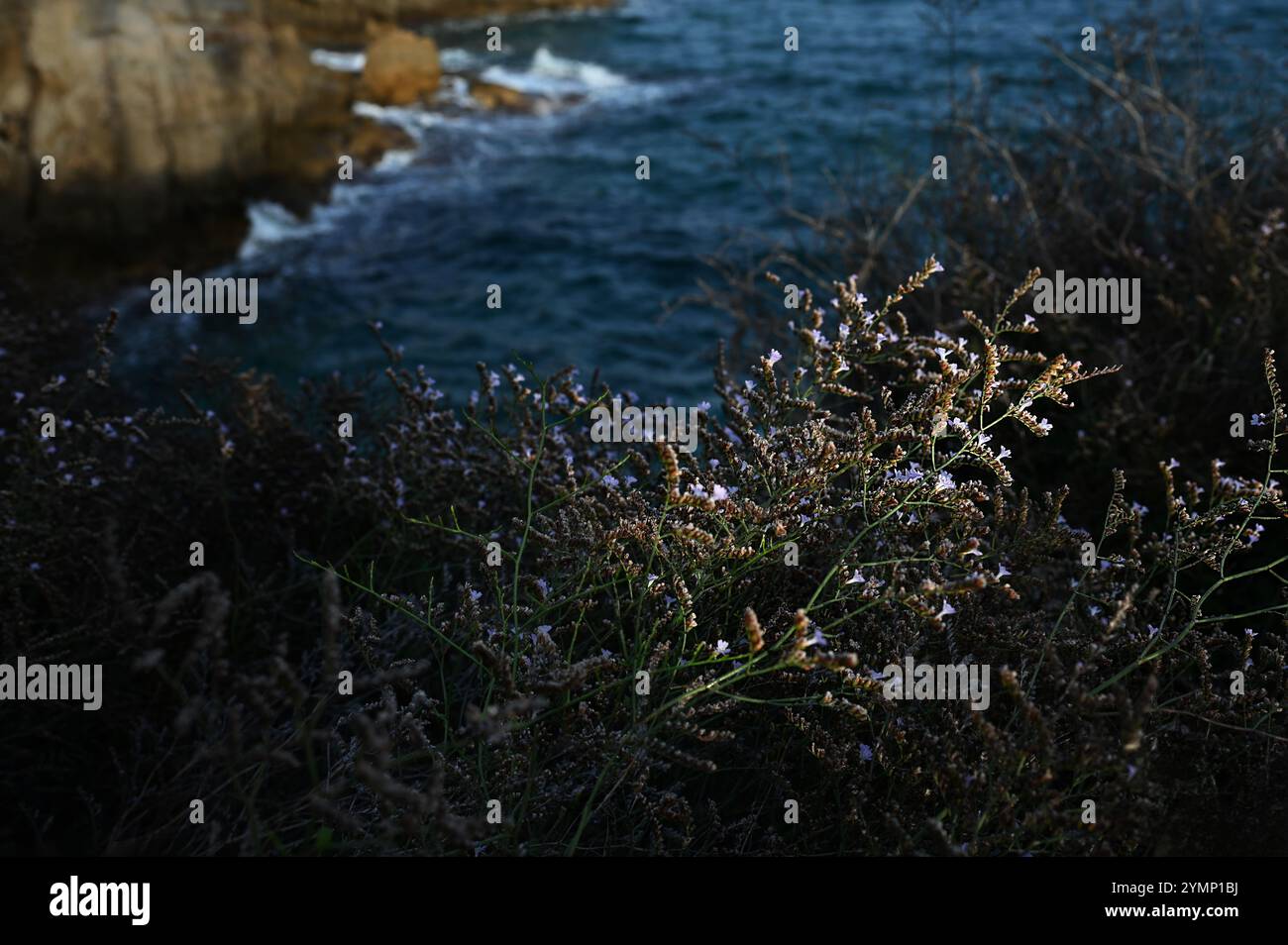 View over cliffs ocean hi-res stock photography and images - Alamy