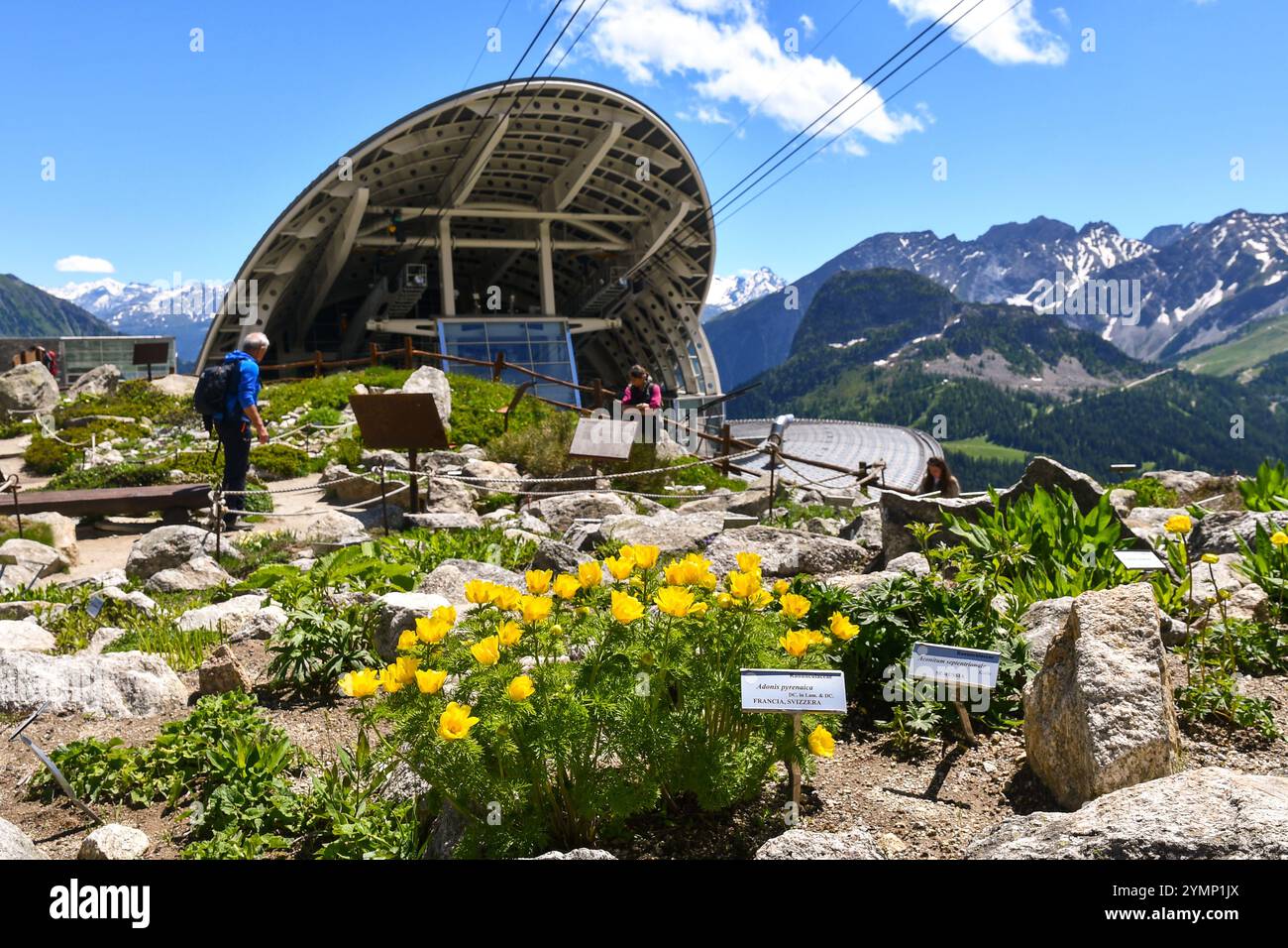The Alpine Botanical Garden Saussurea, located at Pavillon cableway ...