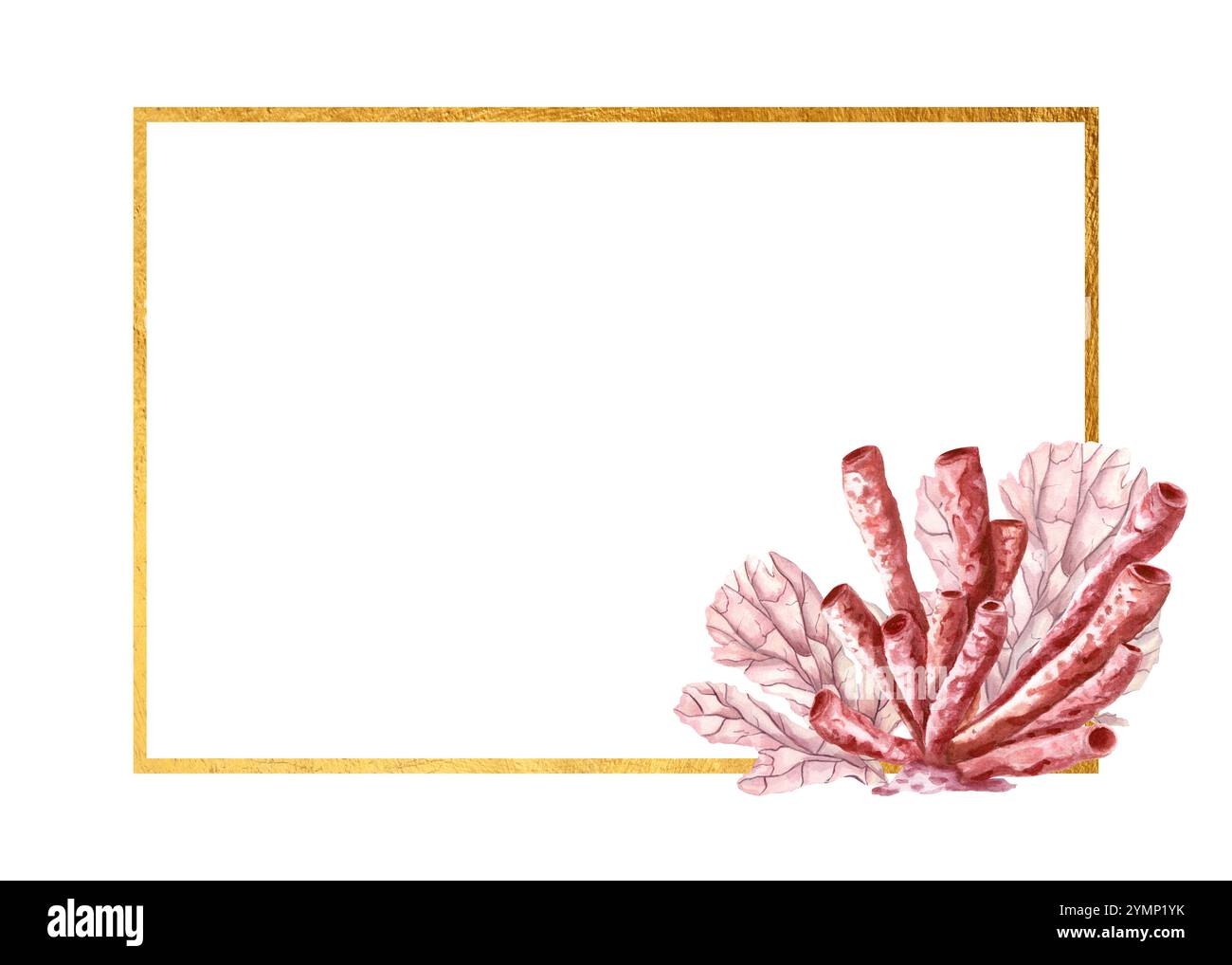 Watercolor tropical underwater coral hand drawn horizontal golden frame ...
