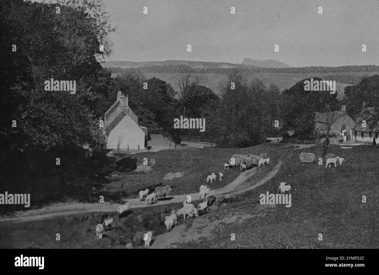 Farm with sheep and buildings, Swanston, Edinburgh, Scotland, c1870s ...