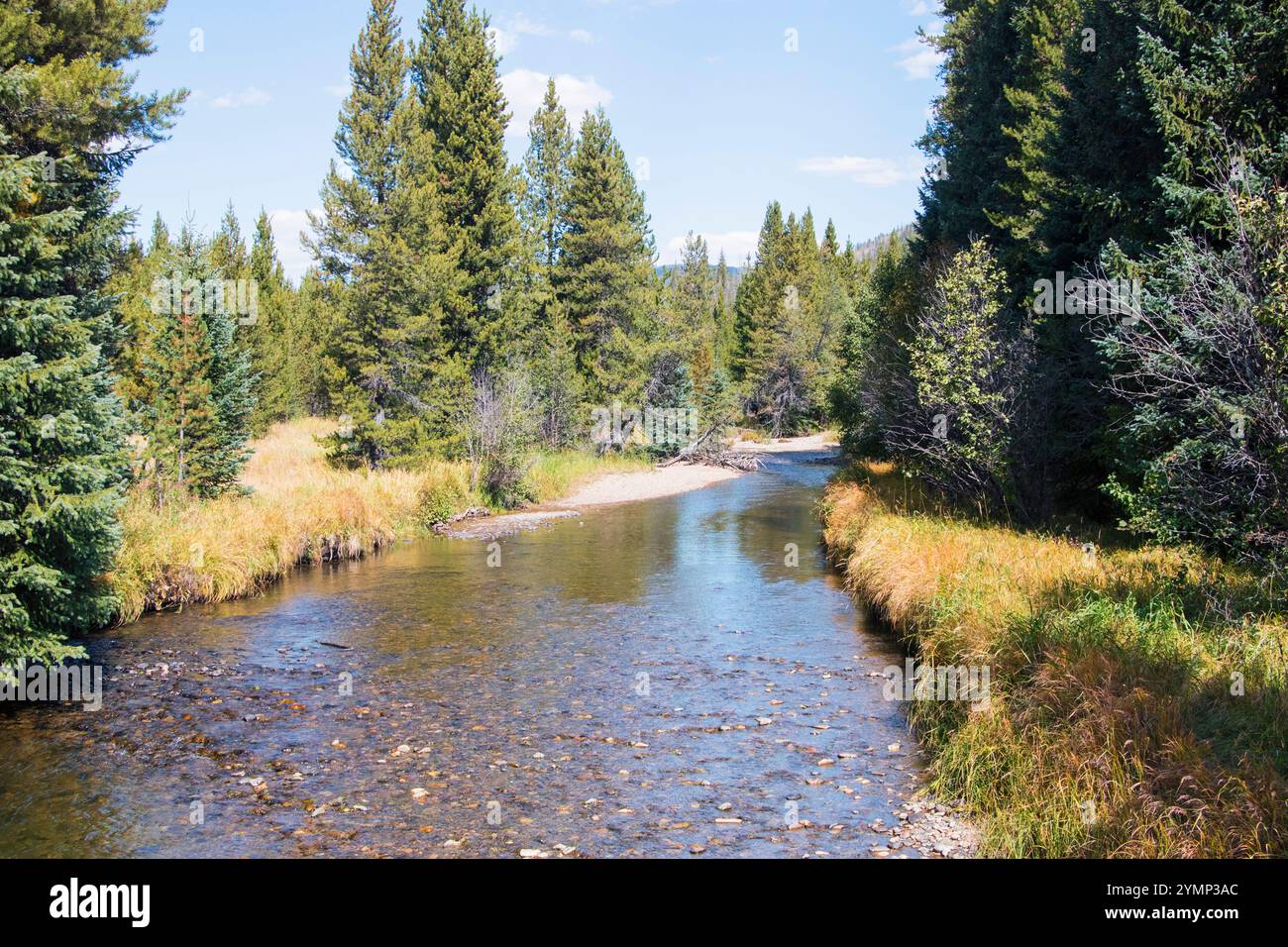 Colorado river in Rockey Mountain National park on western slopes of ...