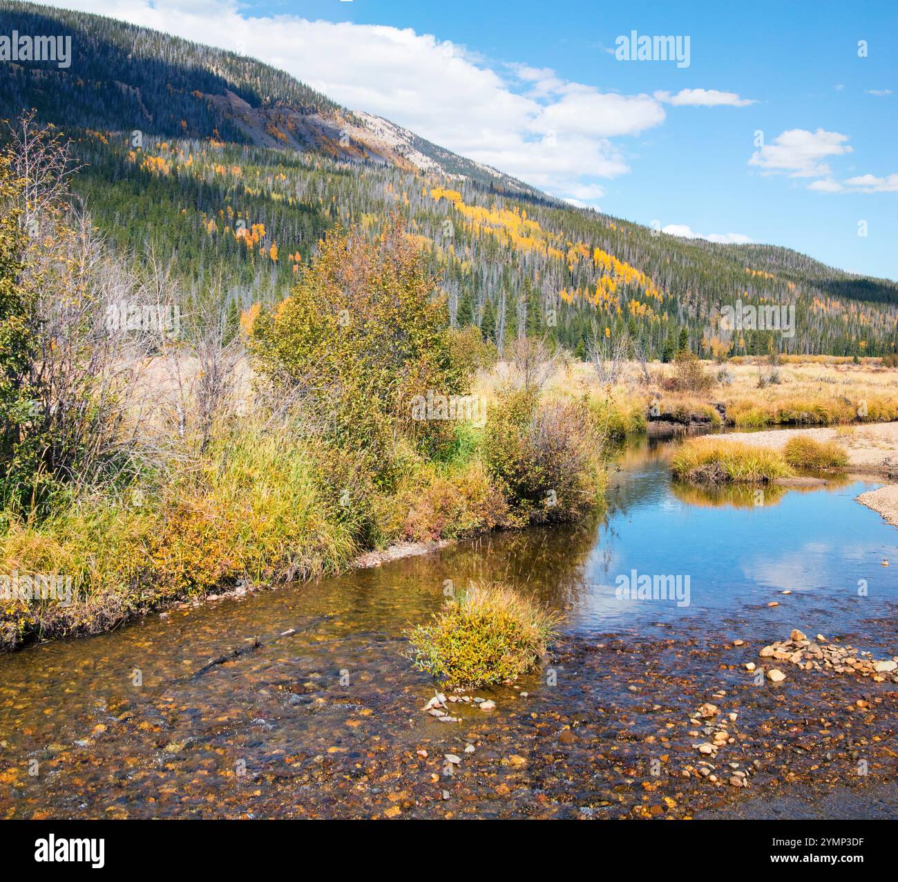 Colorado river in Rockey Mountain National park on western slopes of ...