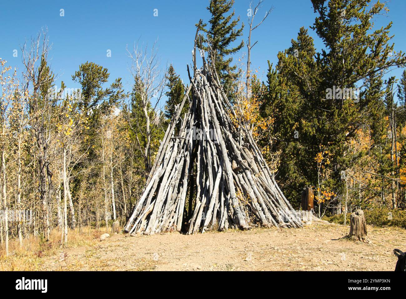 Logs stacked like teepee built with fallen branches Stock Photo - Alamy