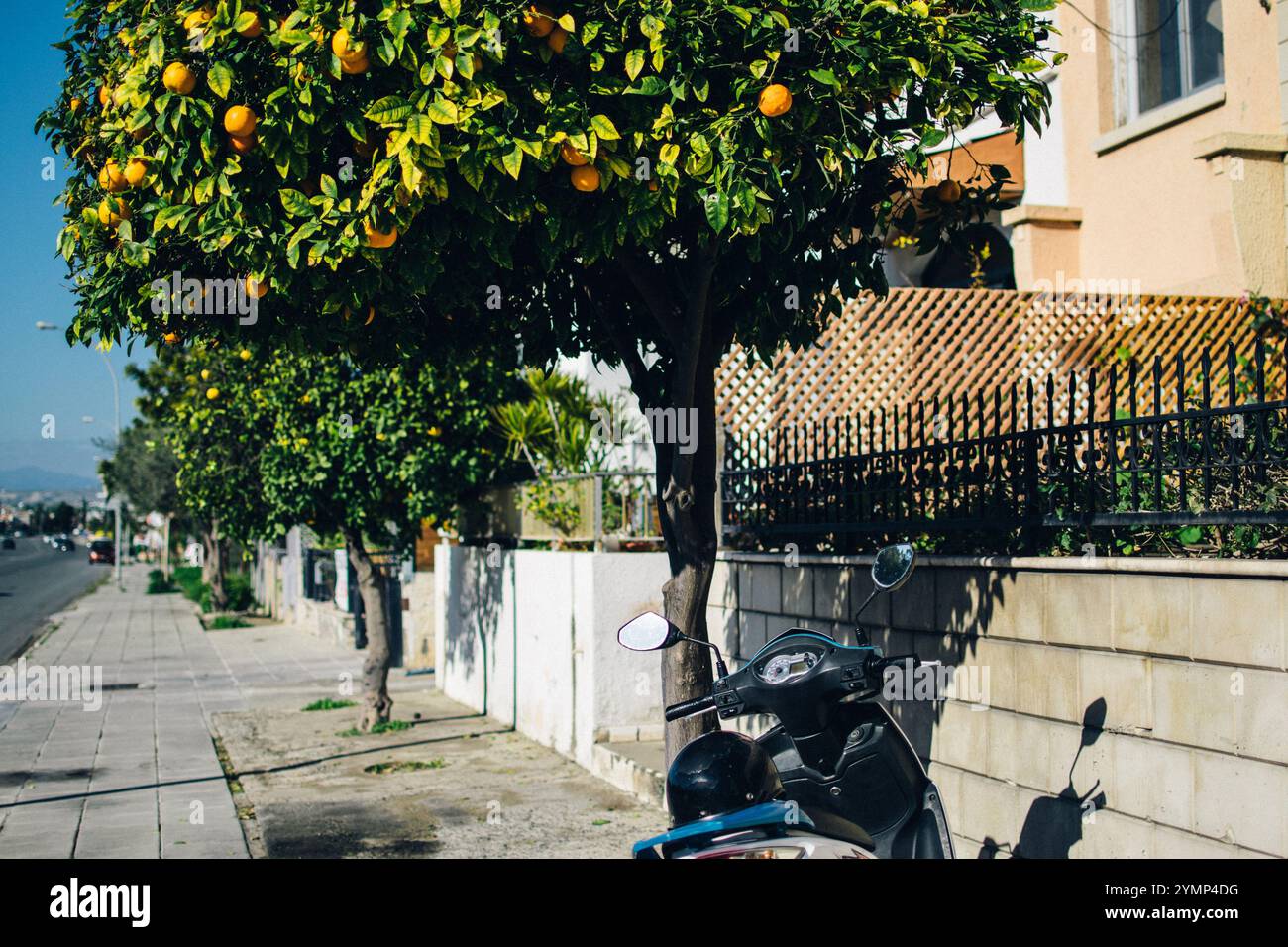 Mandarin tree on building hi-res stock photography and images - Alamy