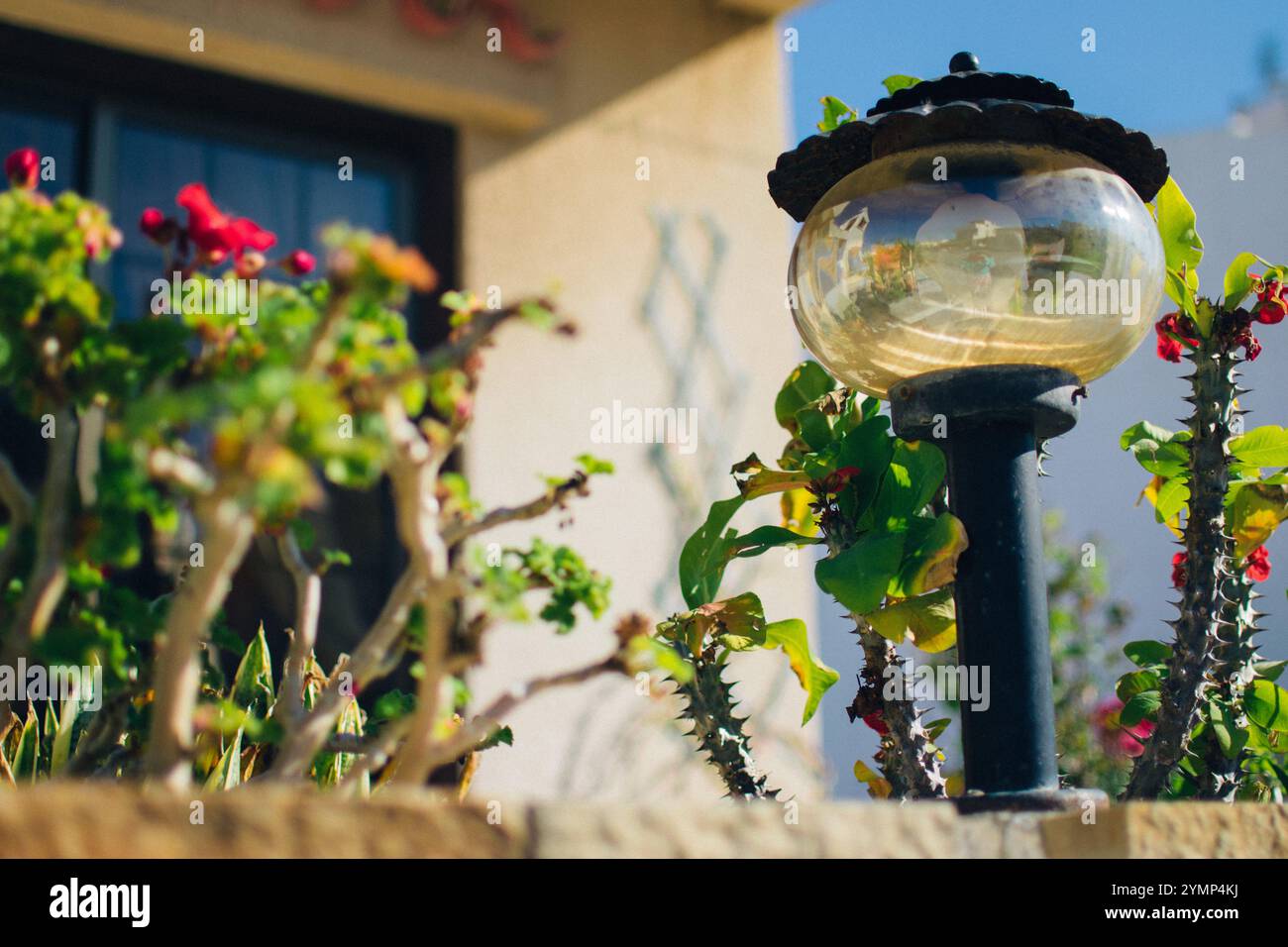 Cyprus garden decoration hi-res stock photography and images - Alamy