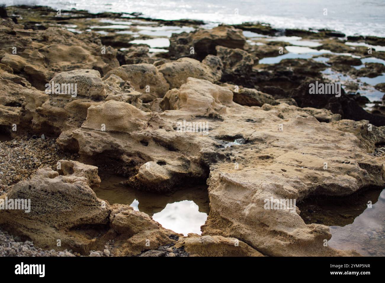 textured landscape of wet, rocky terrain with shallow pools of water ...