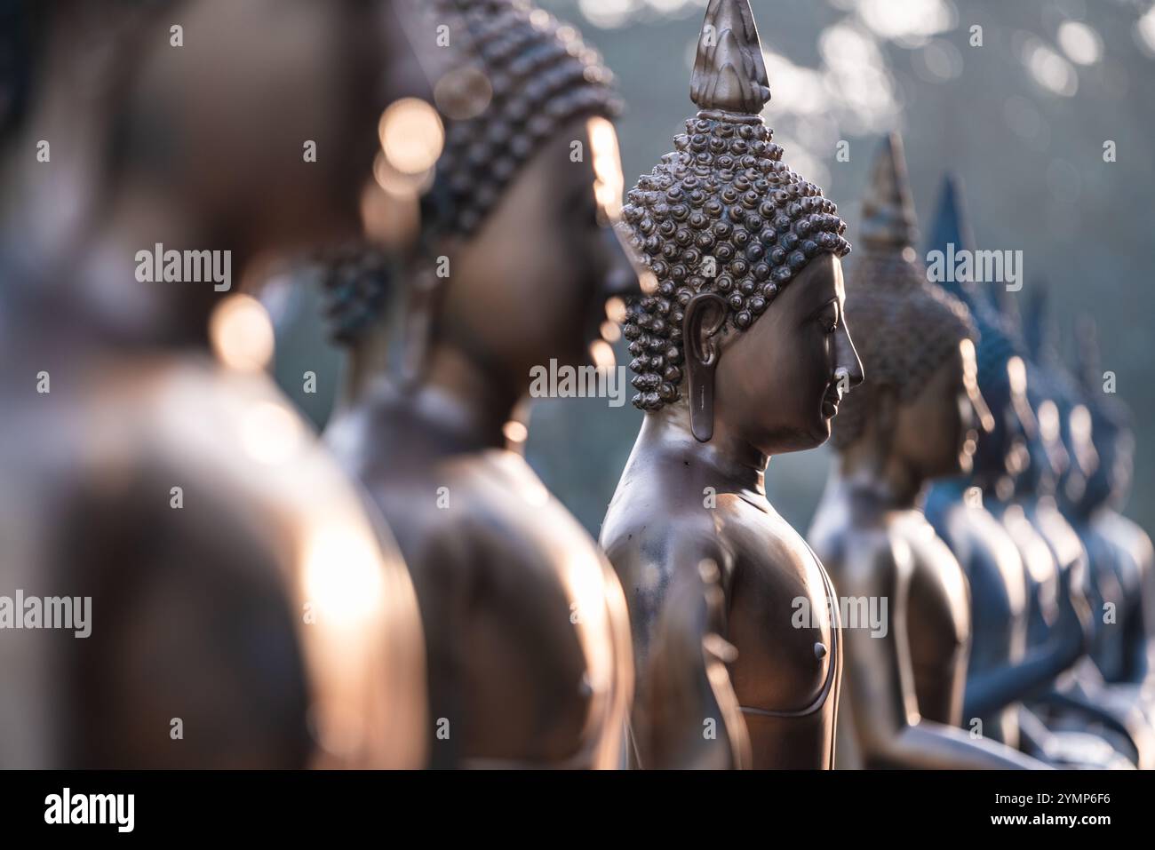 Line of Buddha statues, Seema Malaka a Buddhist temple on Beira Lake ...