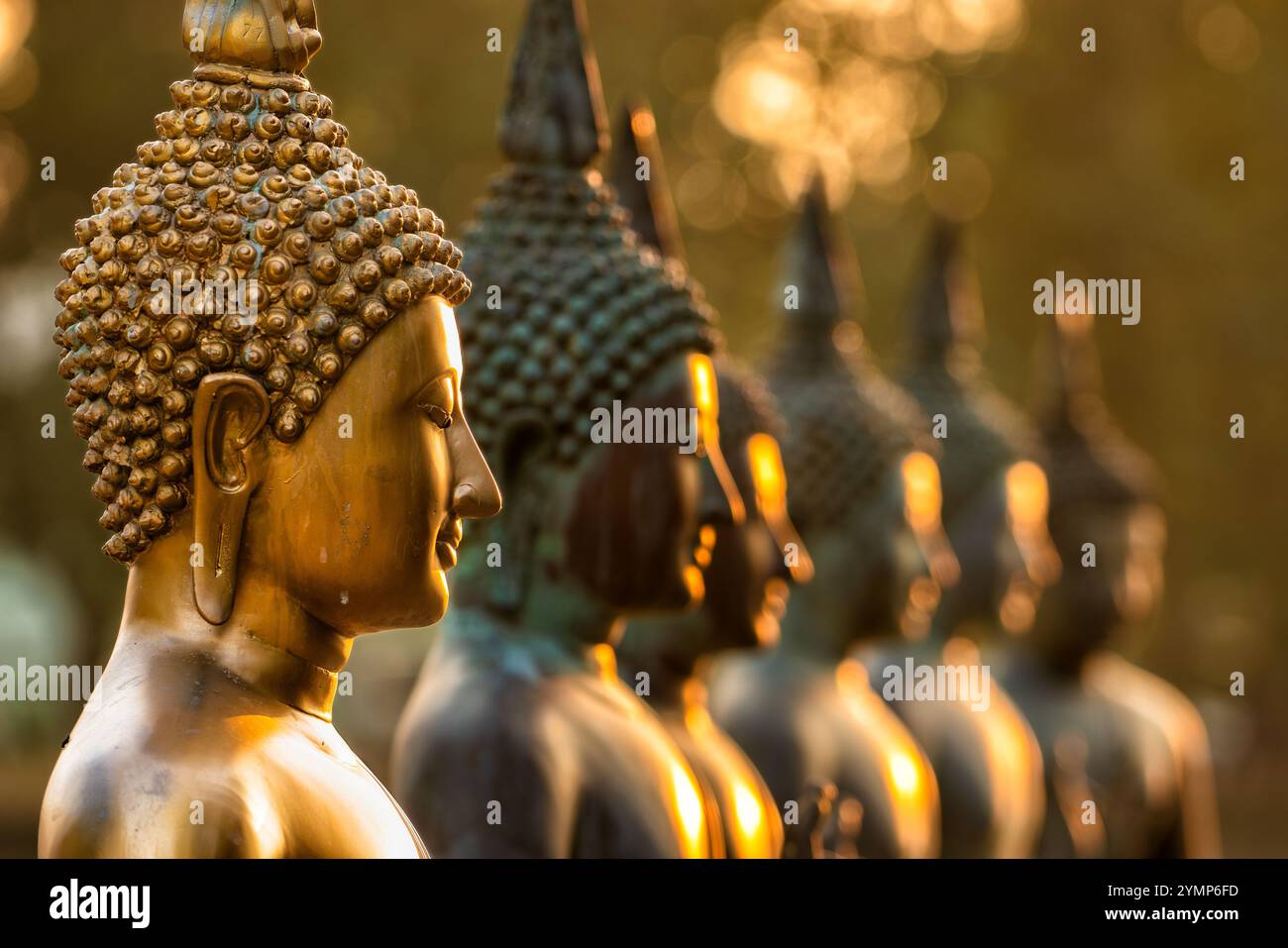 Line of Buddha statues, Seema Malaka a Buddhist temple on Beira Lake ...