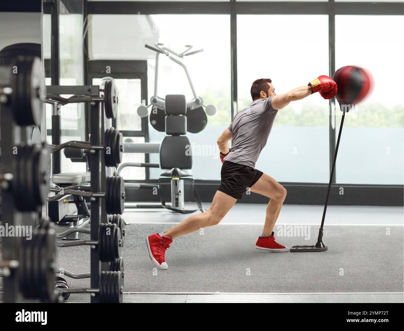Boxer standing boxing gloves fitness hi-res stock photography and ...