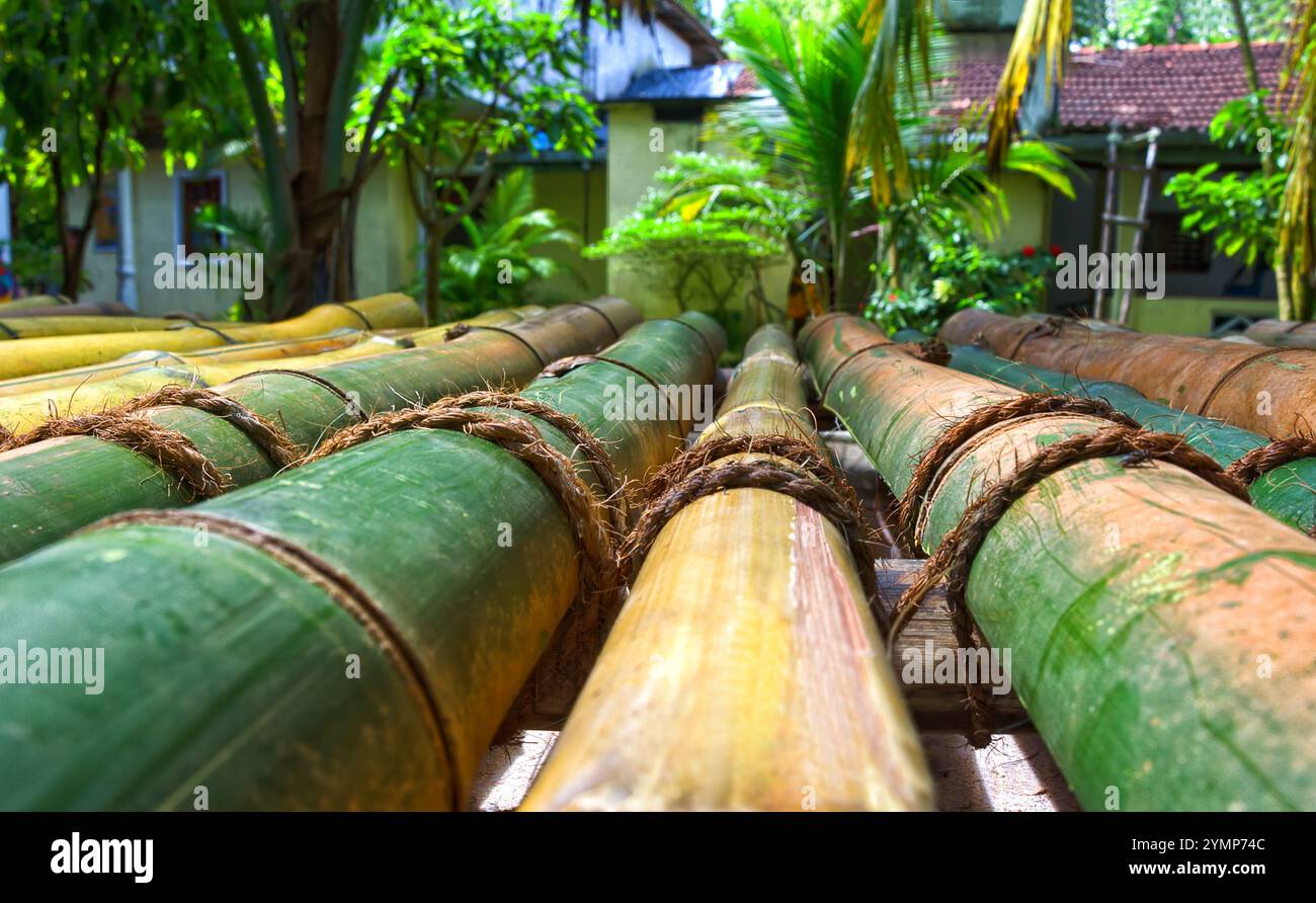 The texture of green bamboo. Beautiful natural background. Bamboo green ...