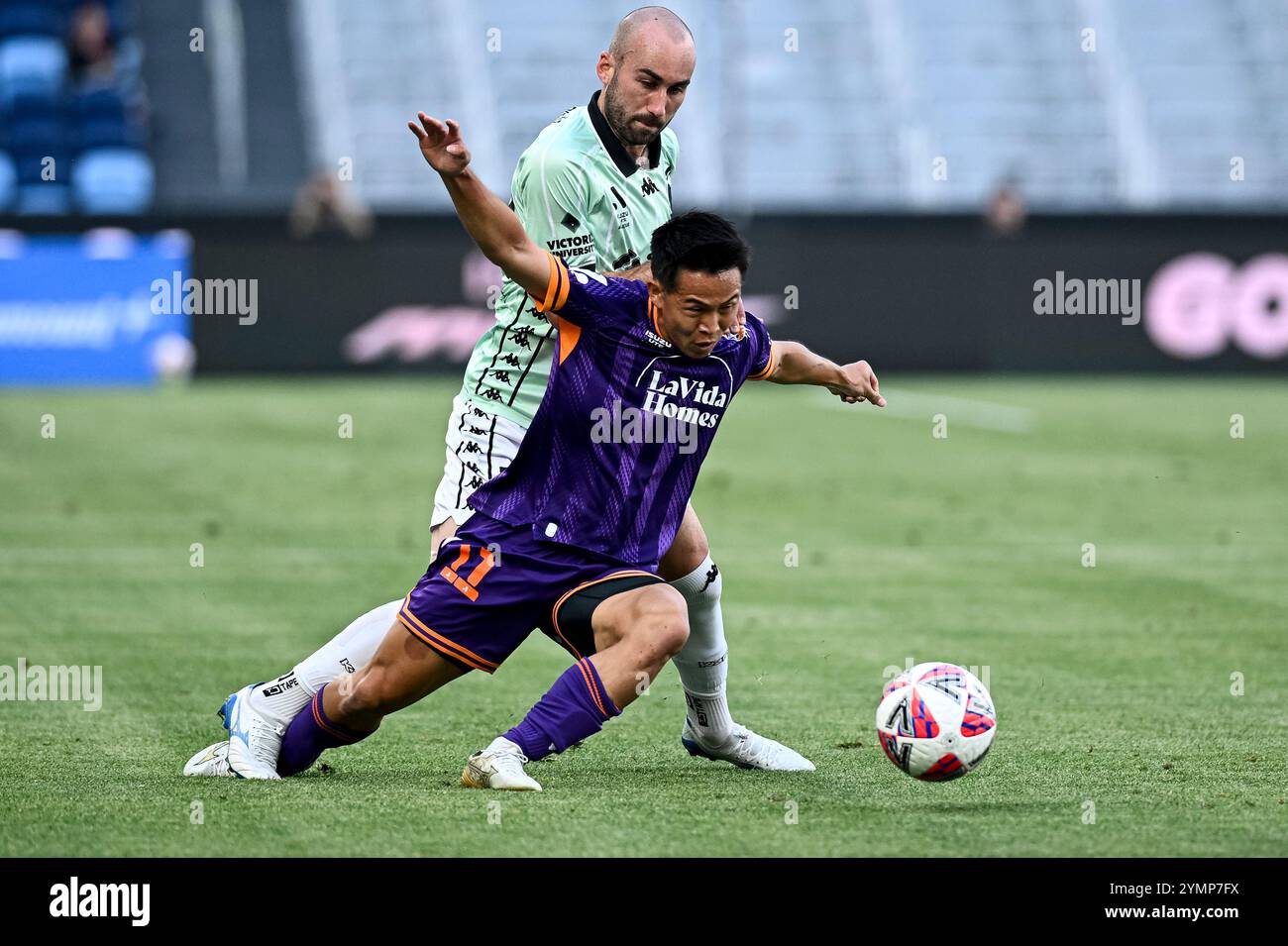 22nd November 2024; Allianz Stadium, Sydney, NSW, Australia: A-League ...