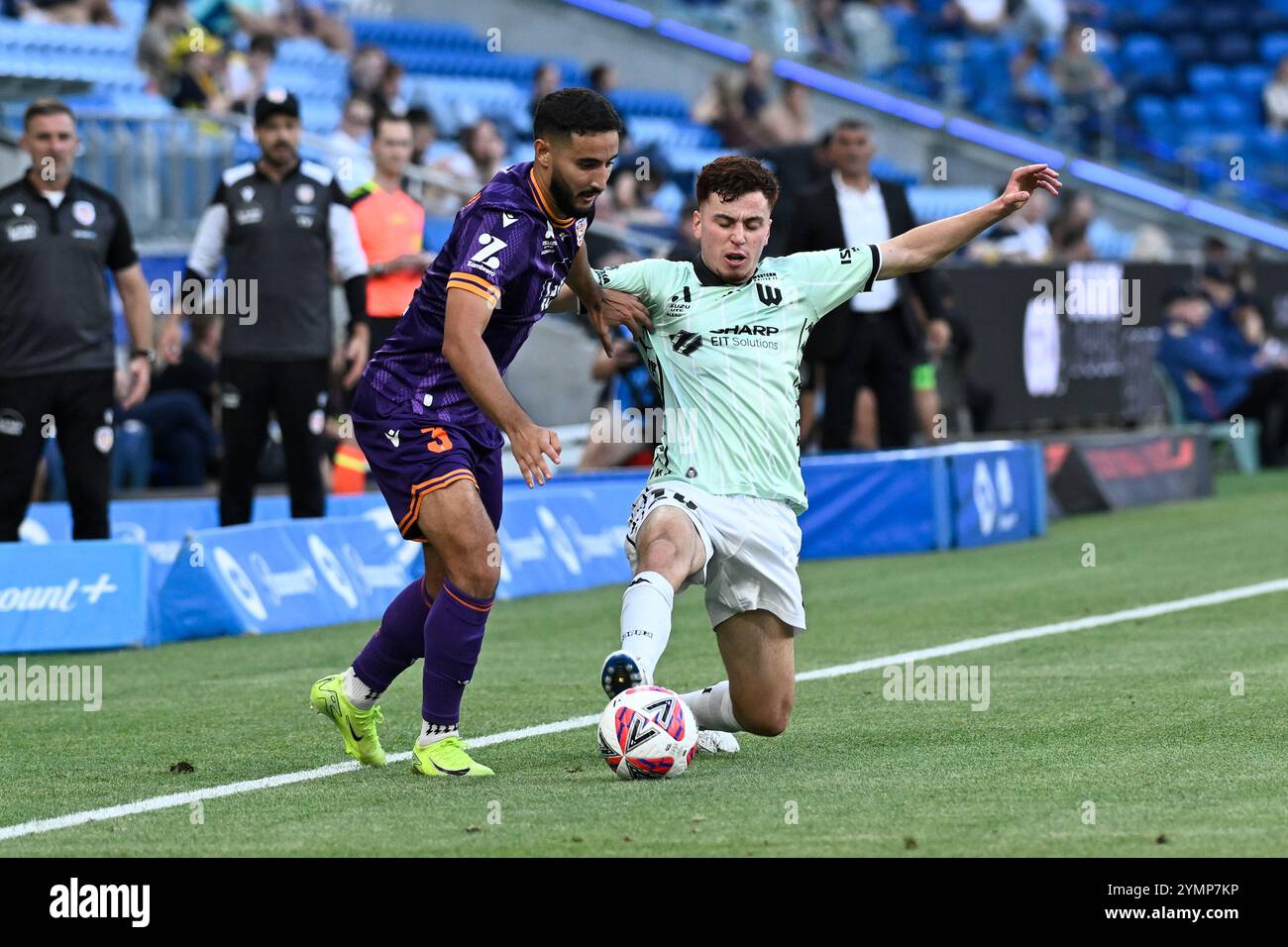 22nd November 2024; Allianz Stadium, Sydney, NSW, Australia: A-League ...