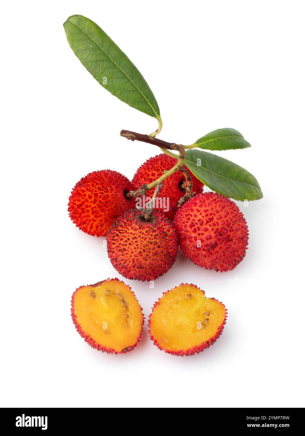 Fresh red whole and halved Arbutus berries close up isolated on white ...