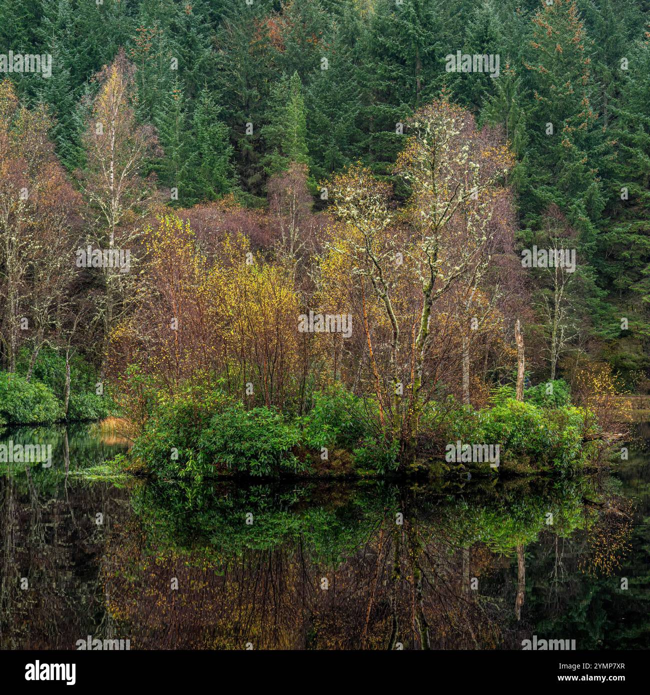 Glencoe Lochan Autumn Colours Stock Photo - Alamy