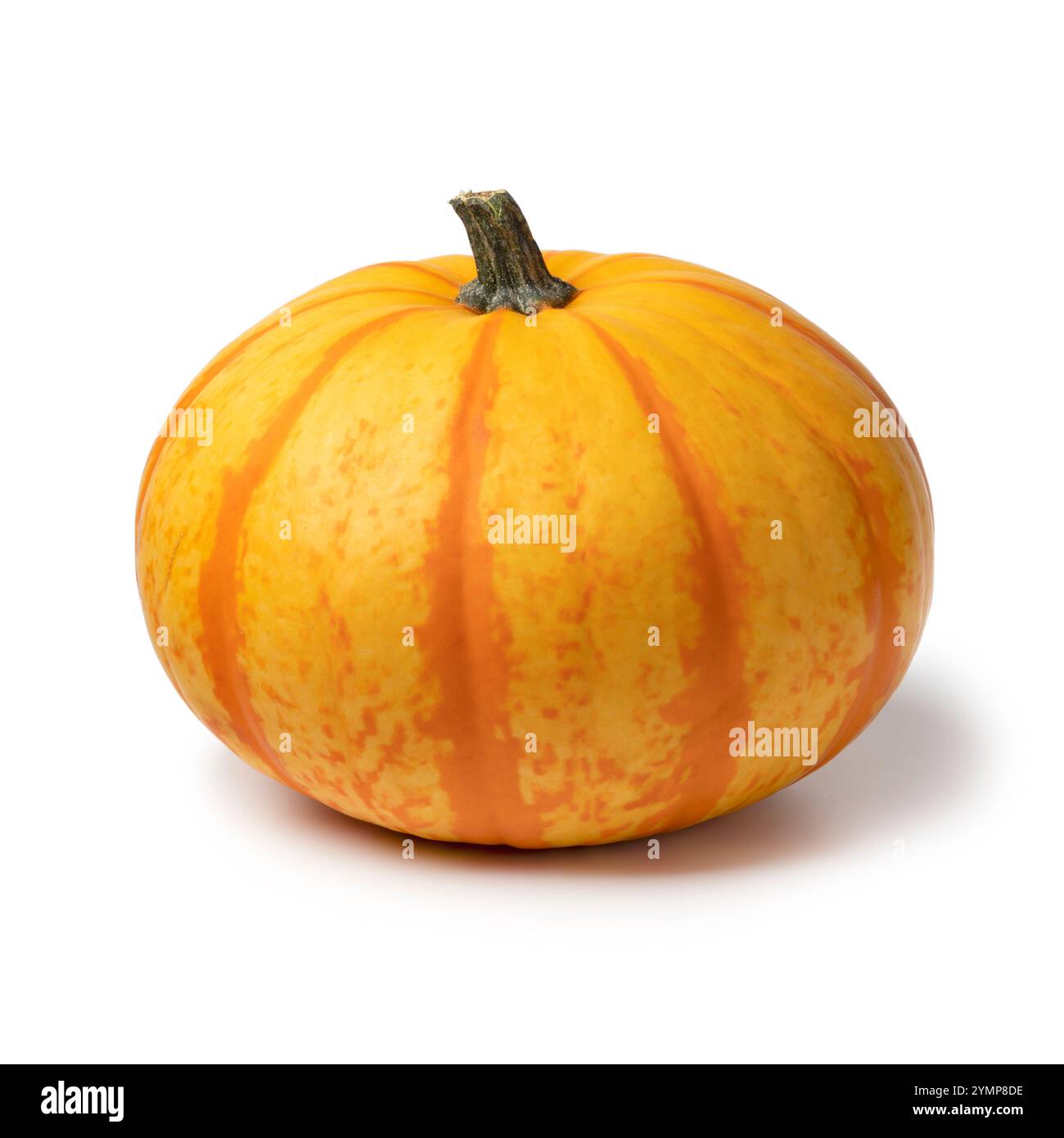 Whole Sweet Lightning pumpkin close up isolated on white background ...
